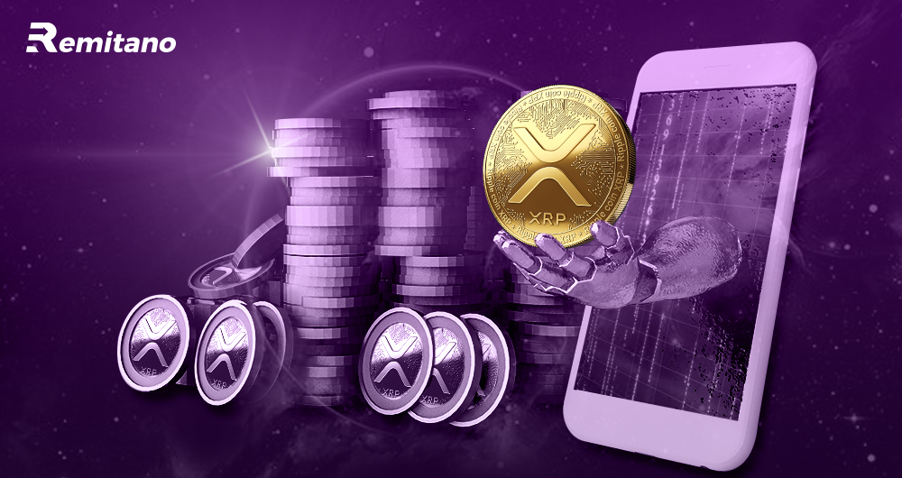 8 Best Ripple Wallets (XRP Wallets) for 2021